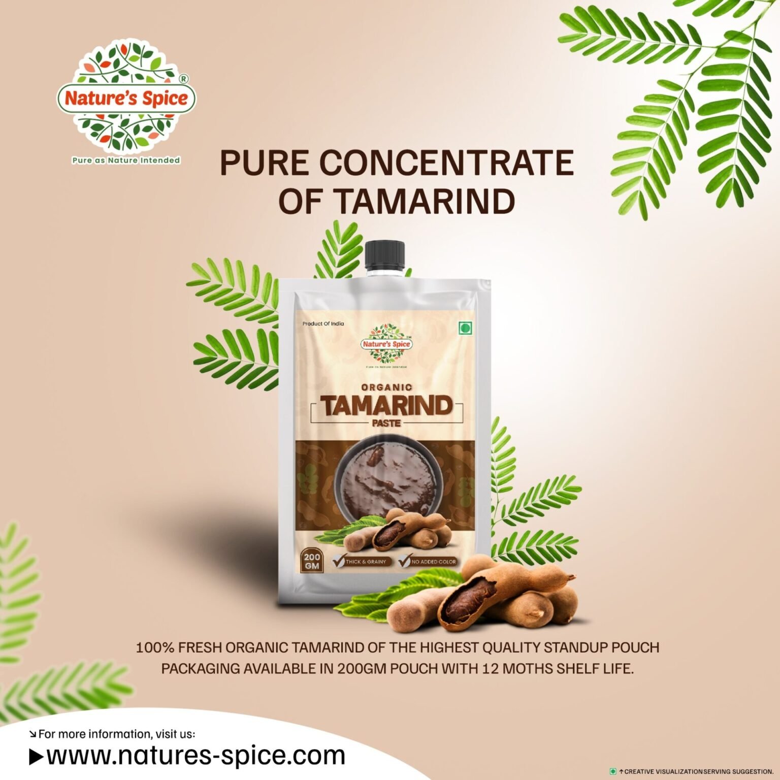 Tamarind Paste | 200gm - Nature's Spice