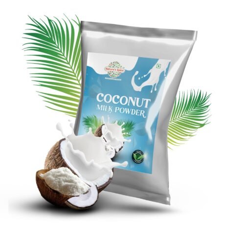 Coconut Cream vs Coconut Milk vs Powder: Key Differences